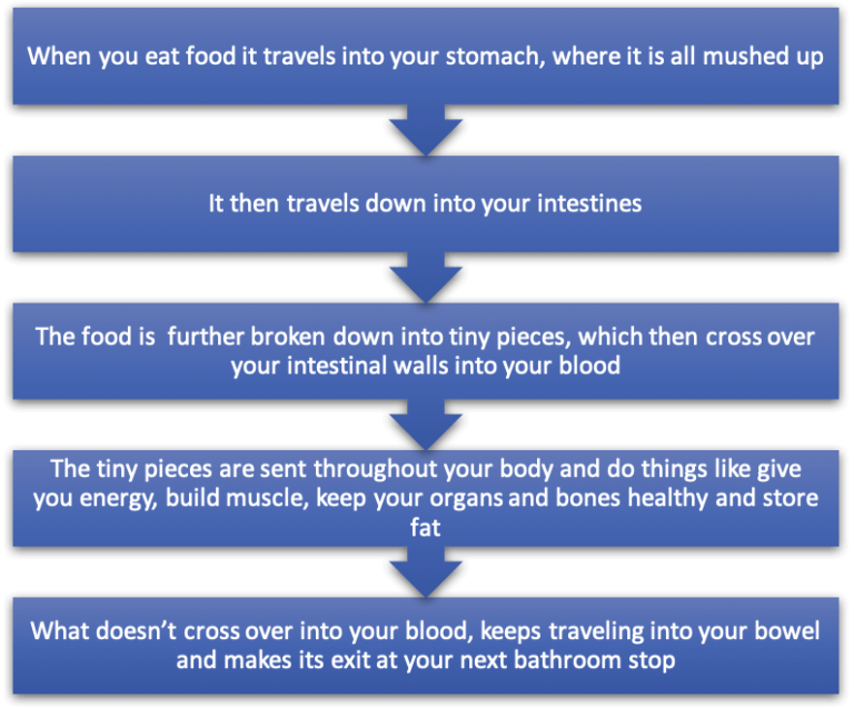 Everything You Need to Know About Energy Levels and Carbs | Live Life ...