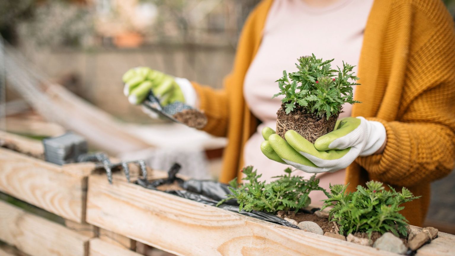 What Does A Healthy, Balanced Life Actually Look Like (and How to ...