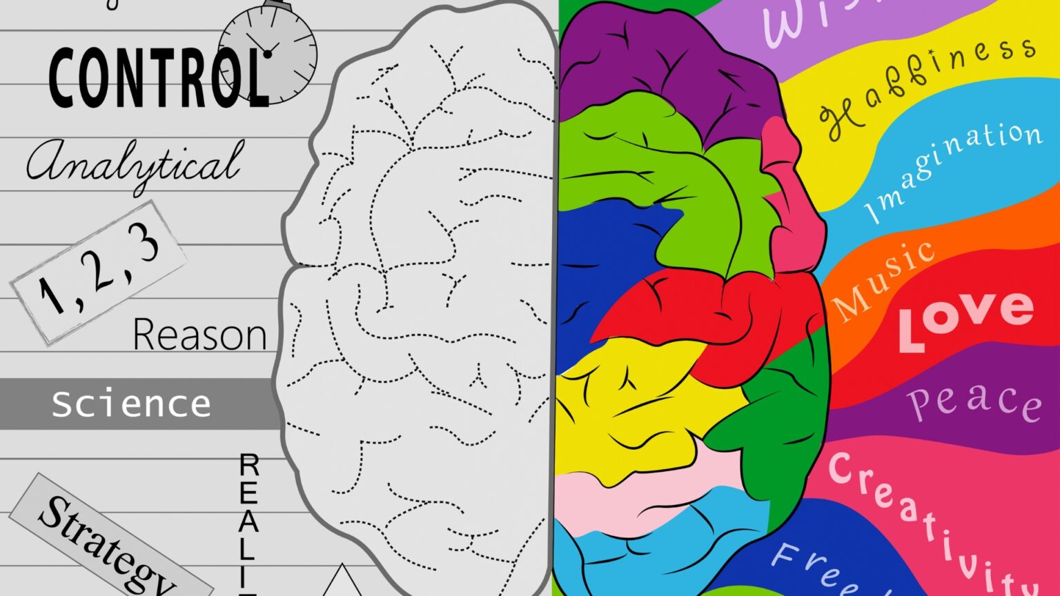 ‘Right Brained’ vs ‘Left Brained’: Which One Are You? | Live Life Get ...